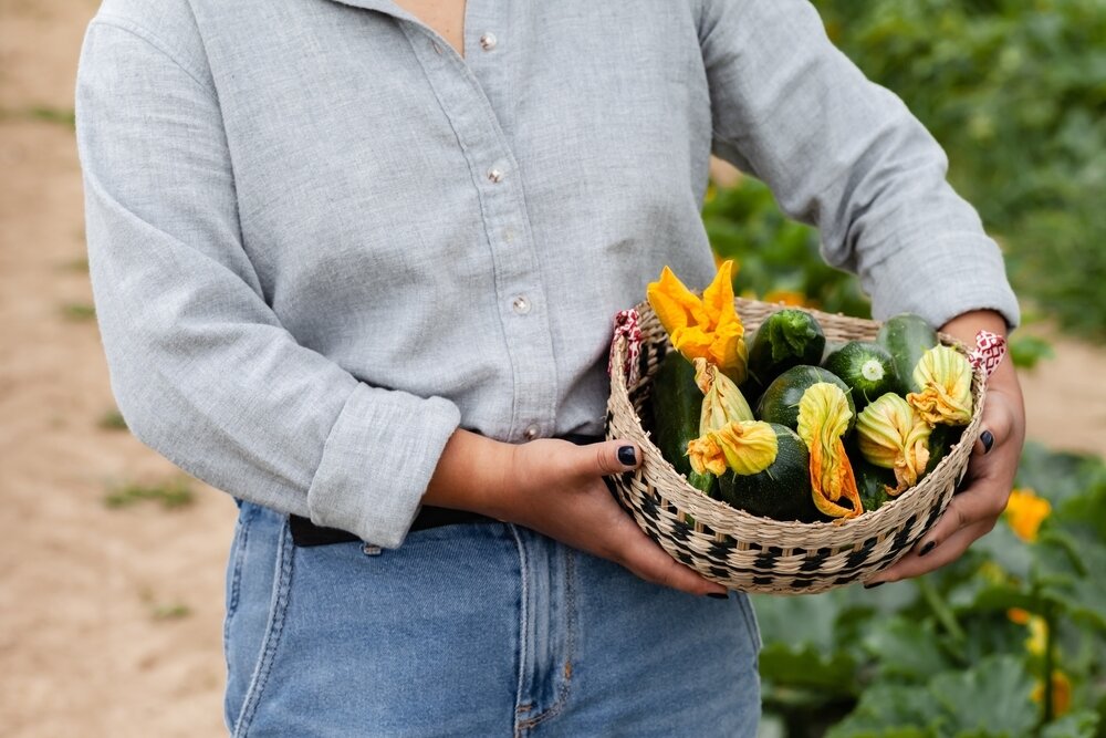Wat kun je nog oogsten in september? Tips voor een volle (fruit)mand ...